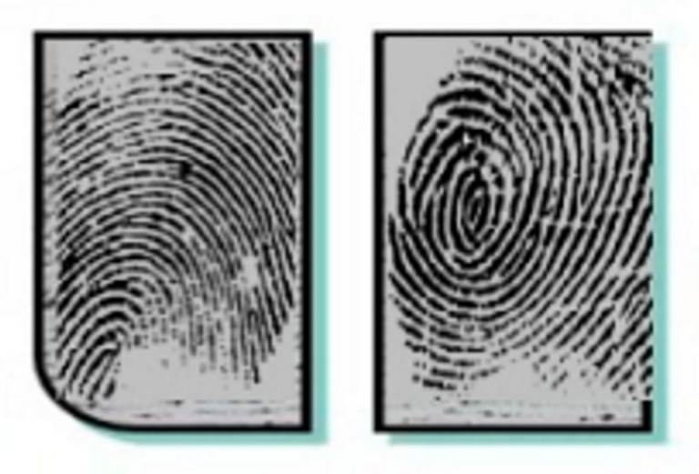Aratek A800 Scanner Php Web Biometric Integration
